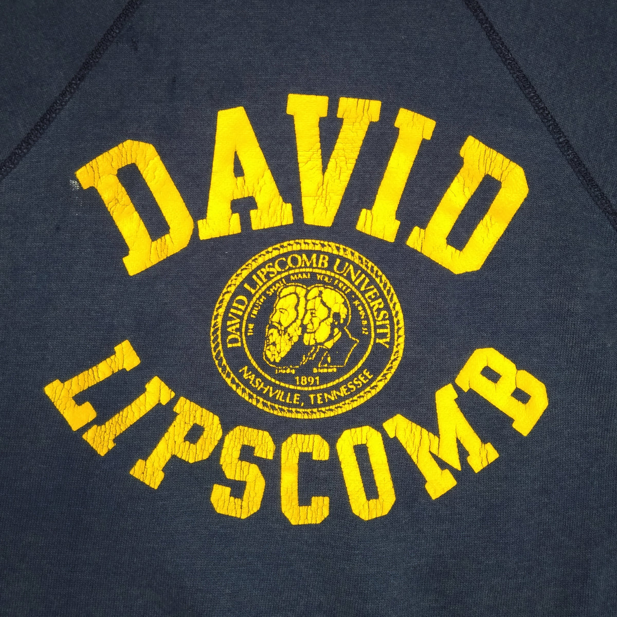 David Lipscomb University Kids Jumper – Phylum Vintage
